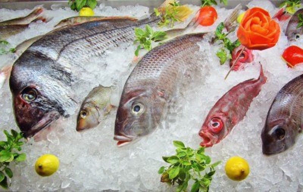 Fish – Mikshar – international food produce