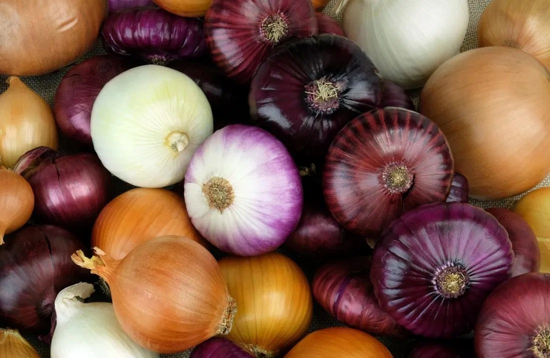Onion – Mikshar – international food produce